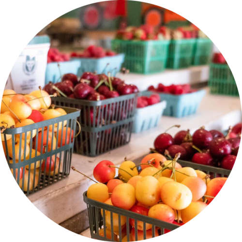 BryAnne Farms – Home of the Great Pumpkin Patch and Farm Fresh Fruits ...